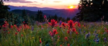 Vail Colorado Hotel | Tivoli Lodge in Vail Vaillage