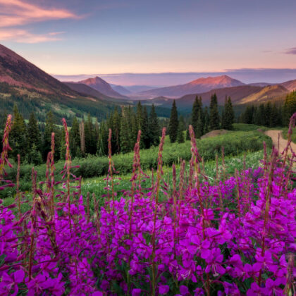 Activities - Tivoli Lodge